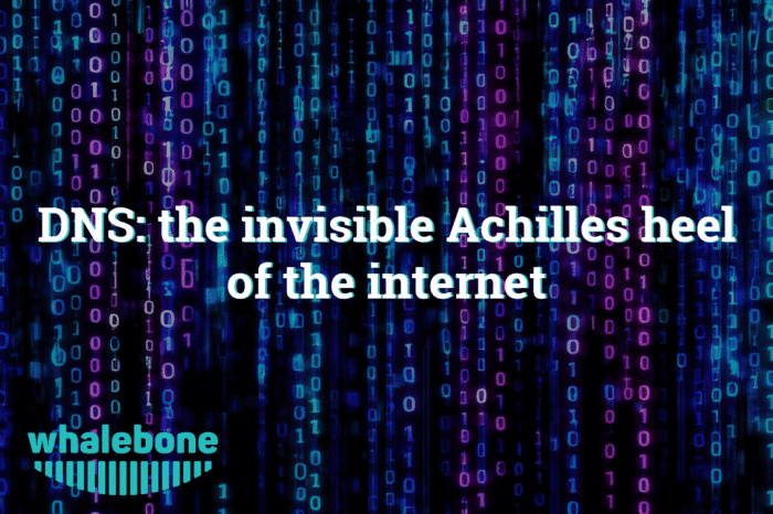 DNS: the invisible Achilles heel of the internet | Kappa Data